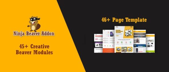 Ninja Beaver Addon v3.4 - аддон для Beaver Builder