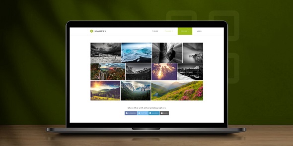 NextGEN Pro Gallery v3.8.0 - плагин галереи WordPress
